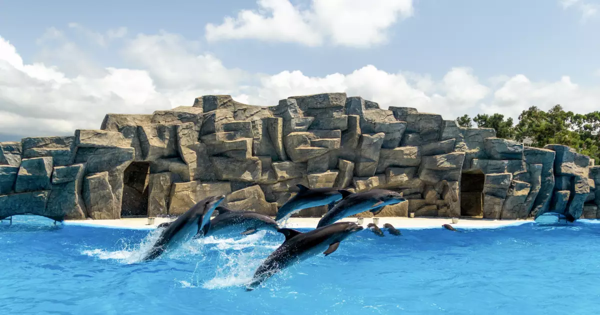 Batumi Dolphinarium | Georgia Travel