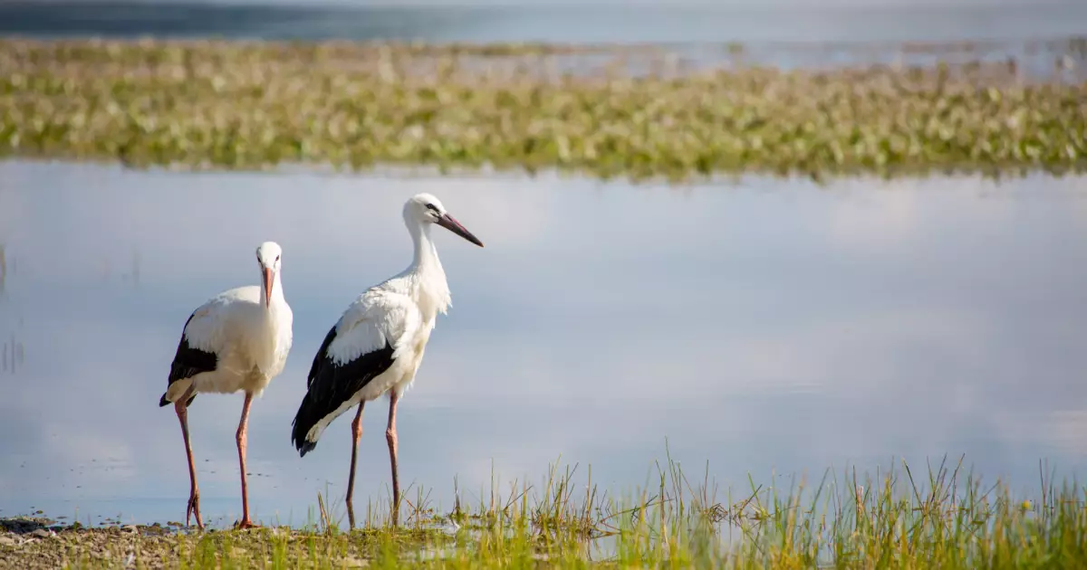 Javakheti National Park | Georgia Travel