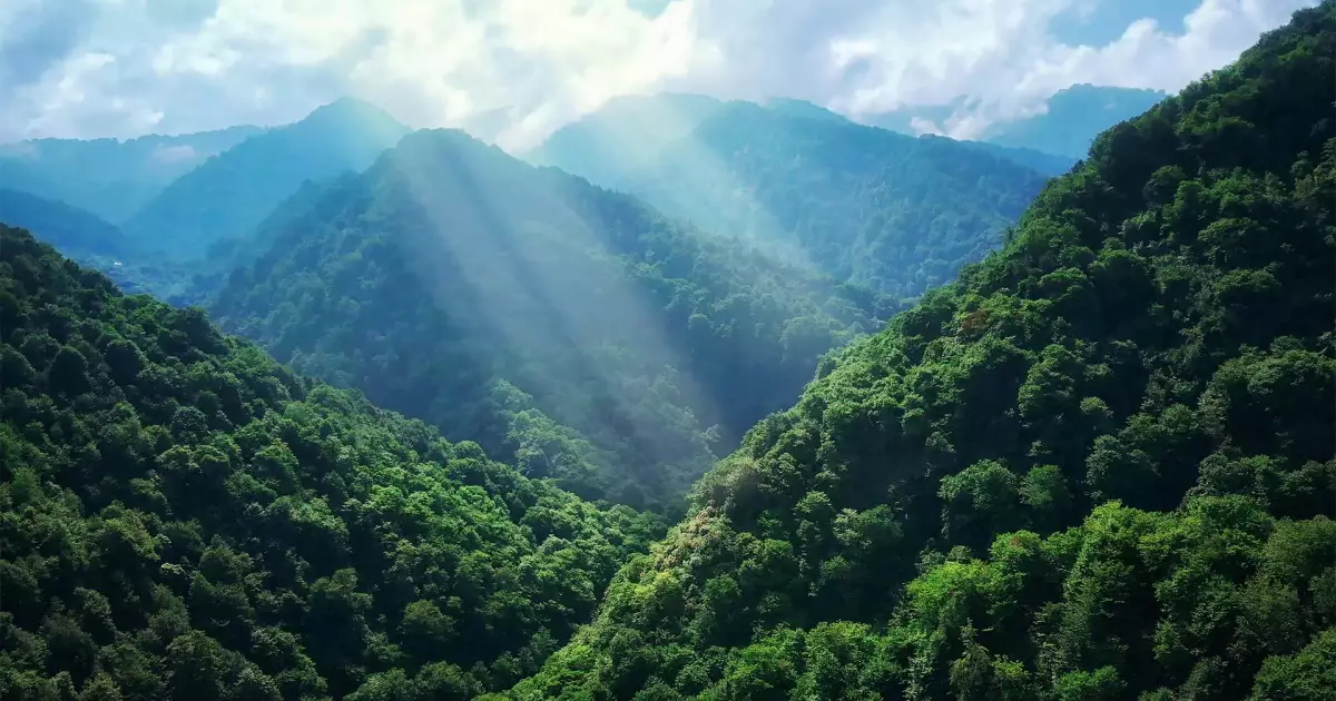 3-Day Off-Road Tour in Guria | Georgia Travel