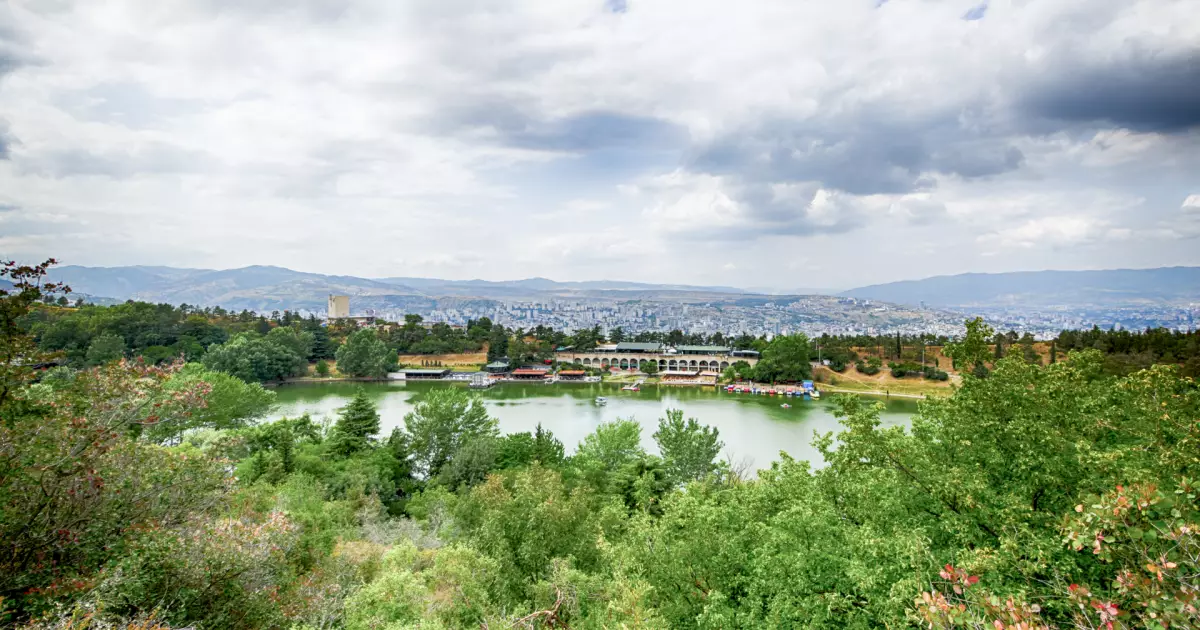 Turtle Lake | Georgia Travel