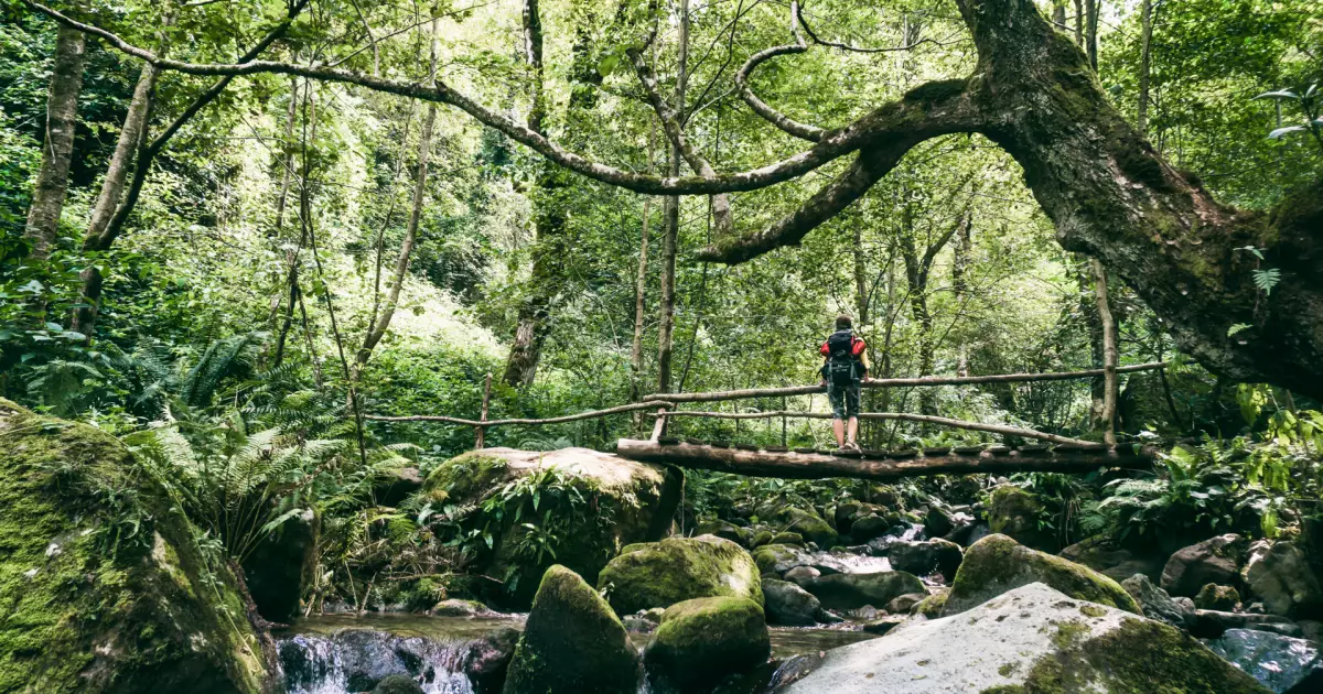 Adventurous Things to Do in Georgia Country | Georgia Travel